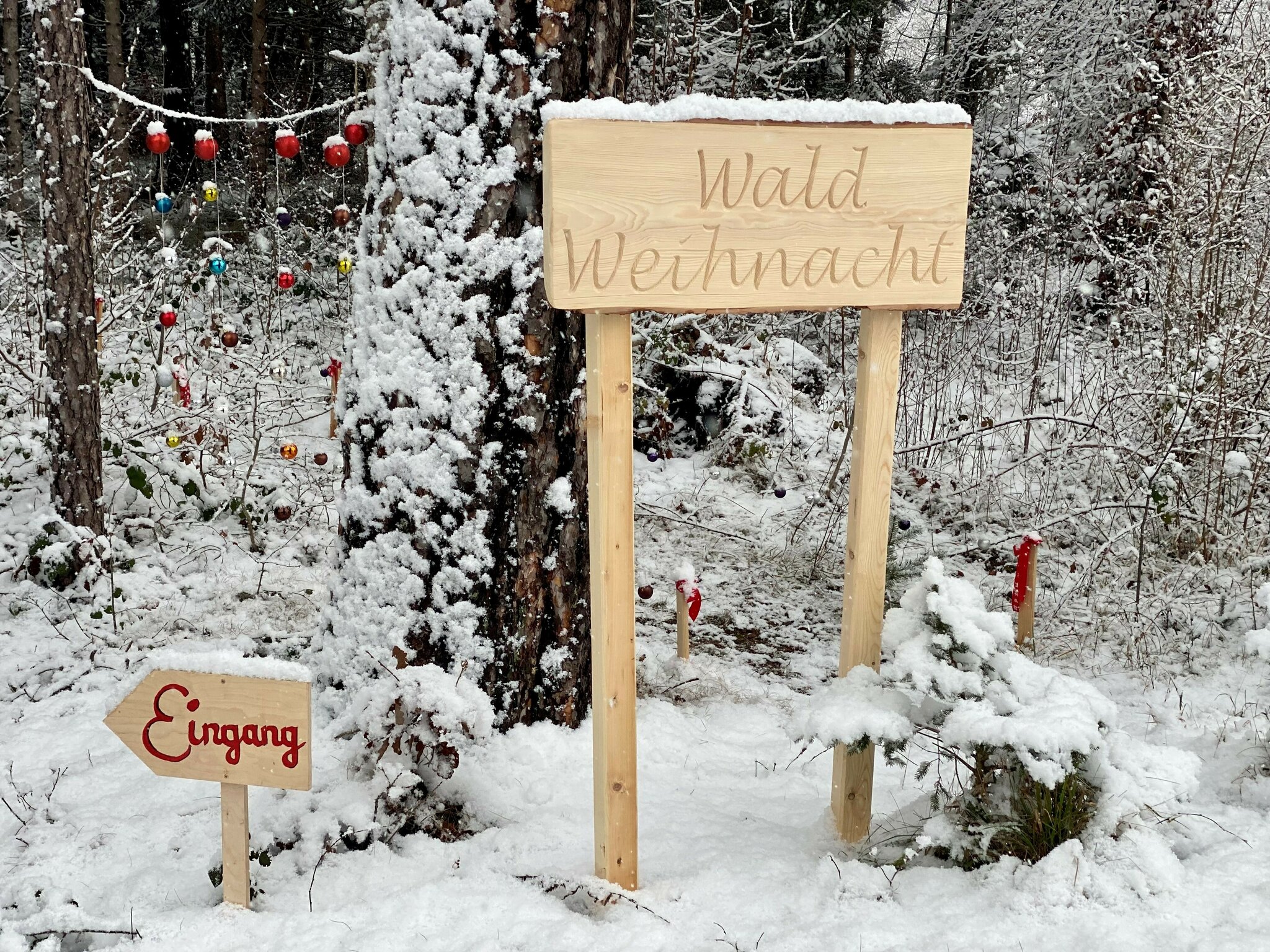 Erster Weihnachtswald in Thüringen: Neuer Rundweg lädt Kinder und ...