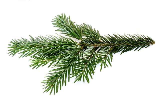 „Schapp Schapp frisch und g´sund": Woher kommt der Brauch und was ist ...