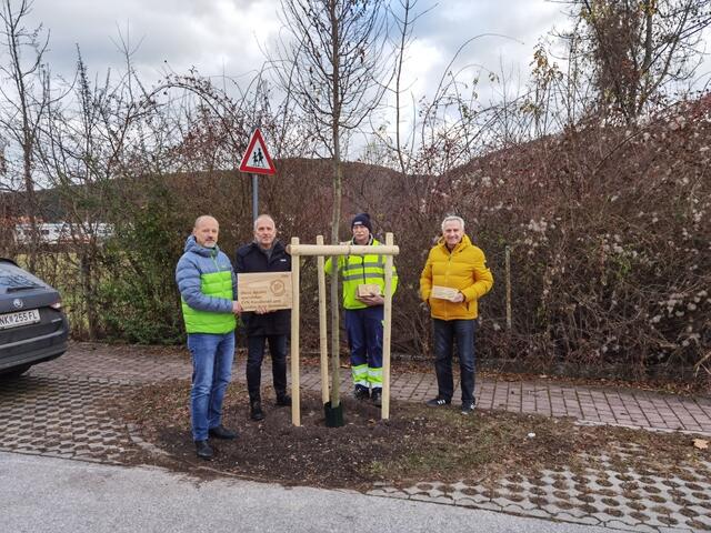 Wimpassing im Schwarzatale: Bravo! EVN-Kunden ließen Bäume wachsen ...