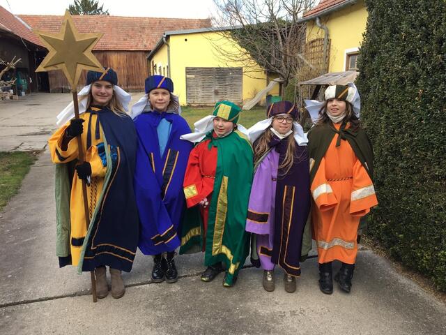 Sternsinger-Kinder unterwegs - Tulln