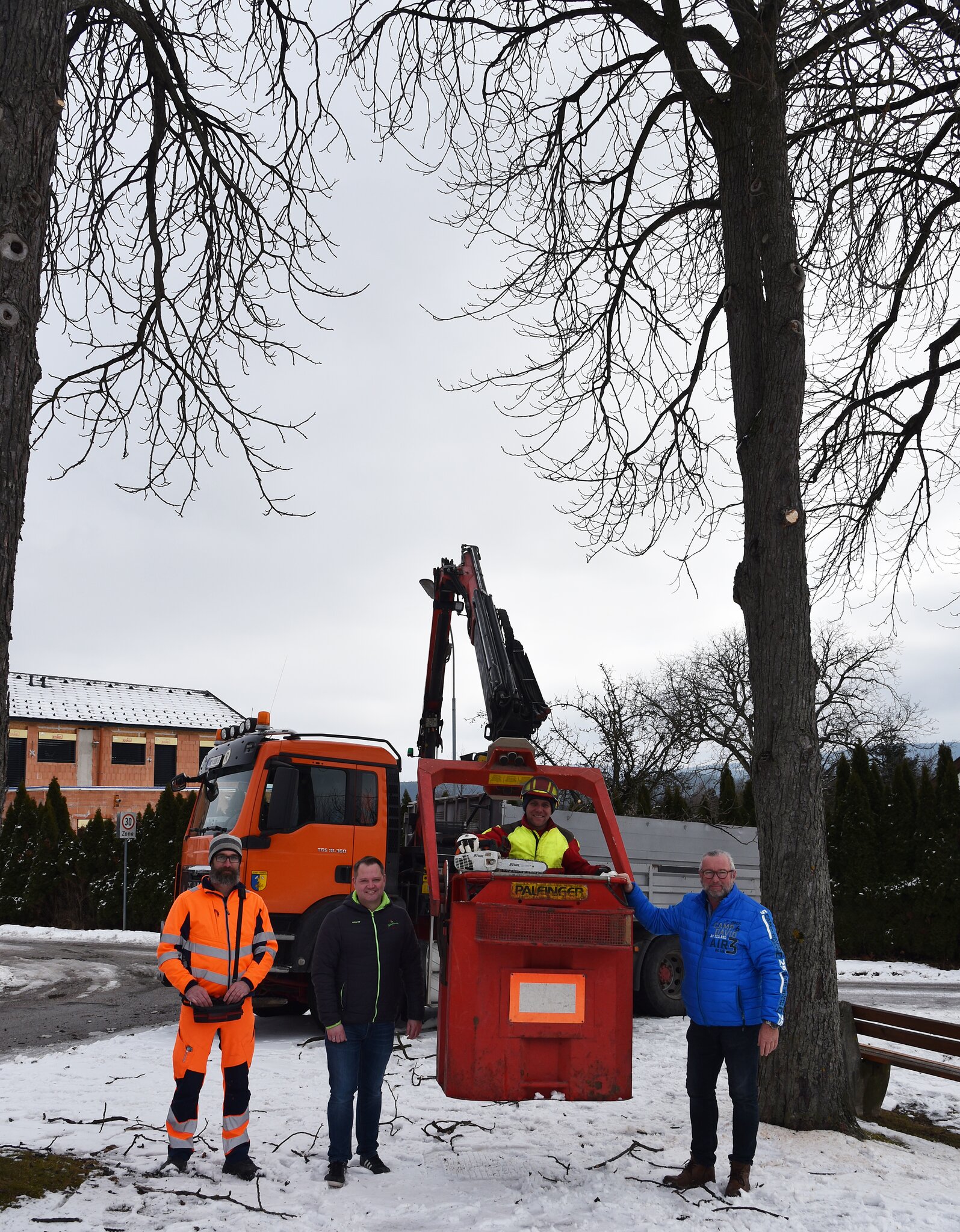 Ternitz: 3.500 Bäume werden überprüft - Neunkirchen