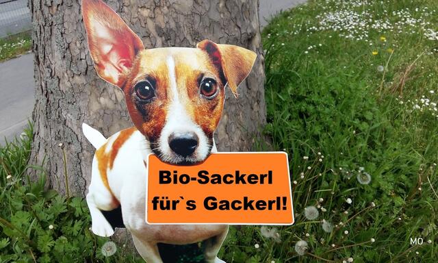 Bio-Sackerl für das Gackerl - Plastiksackerl-Verbot seit 1. Jänner 2020 ...