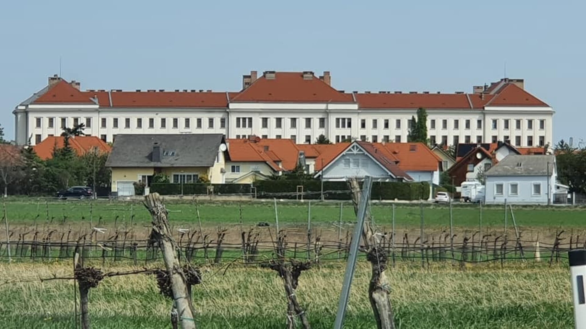 Corona-Alarm im Lager Traiskirchen ...: Asylbetreuungsstelle ...
