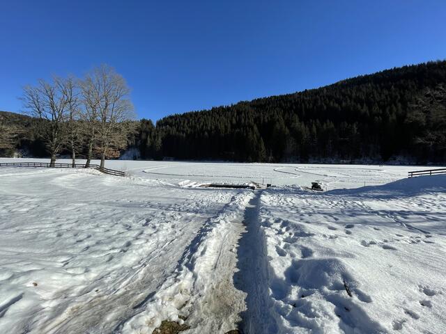 Beim Goggausee: Einbrüche in Badehütten von der Polizei geklärt ...