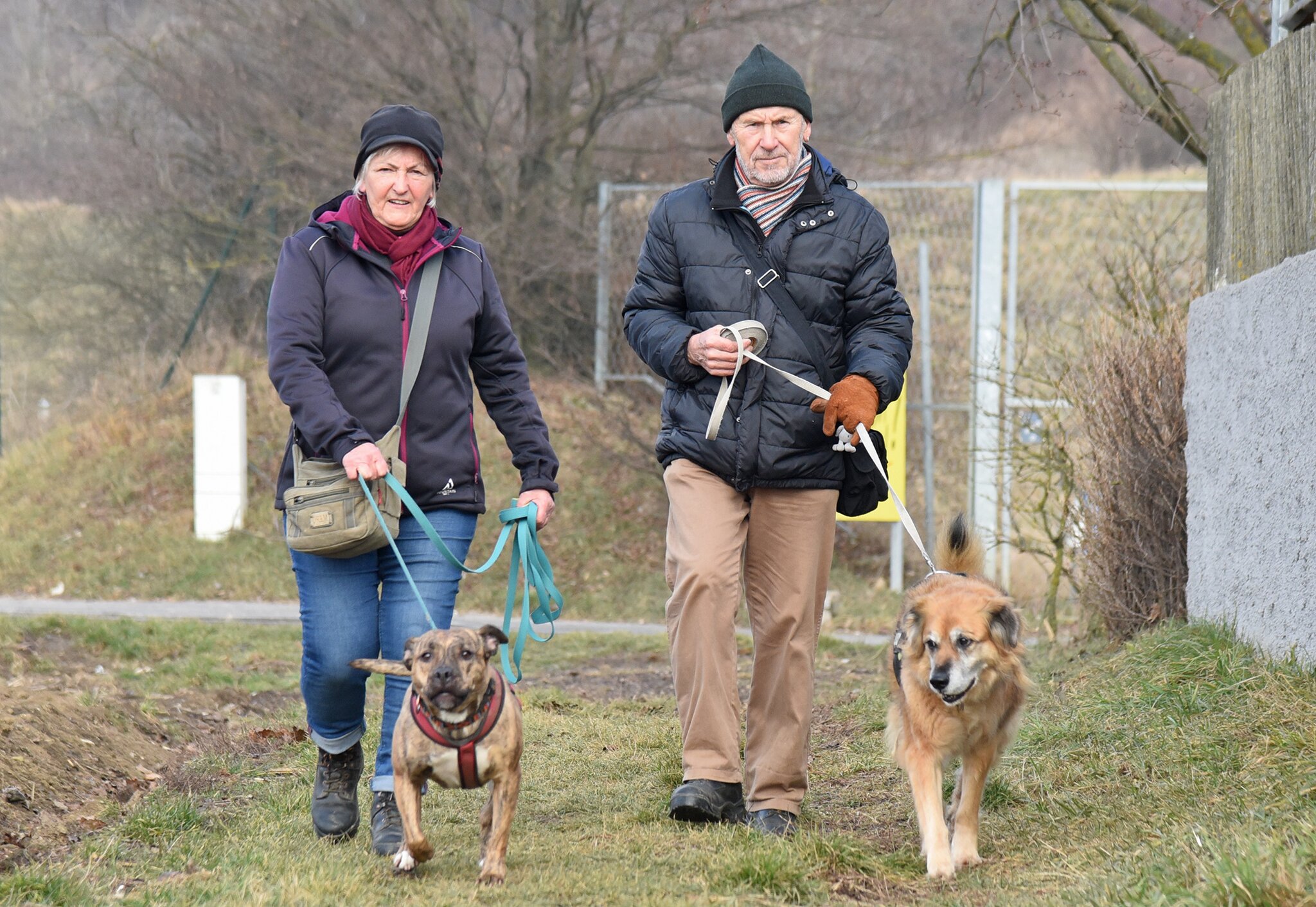 St. Pöltens Freizeitangebote für Hunde: Ein zufriedenes Zusammenleben ...