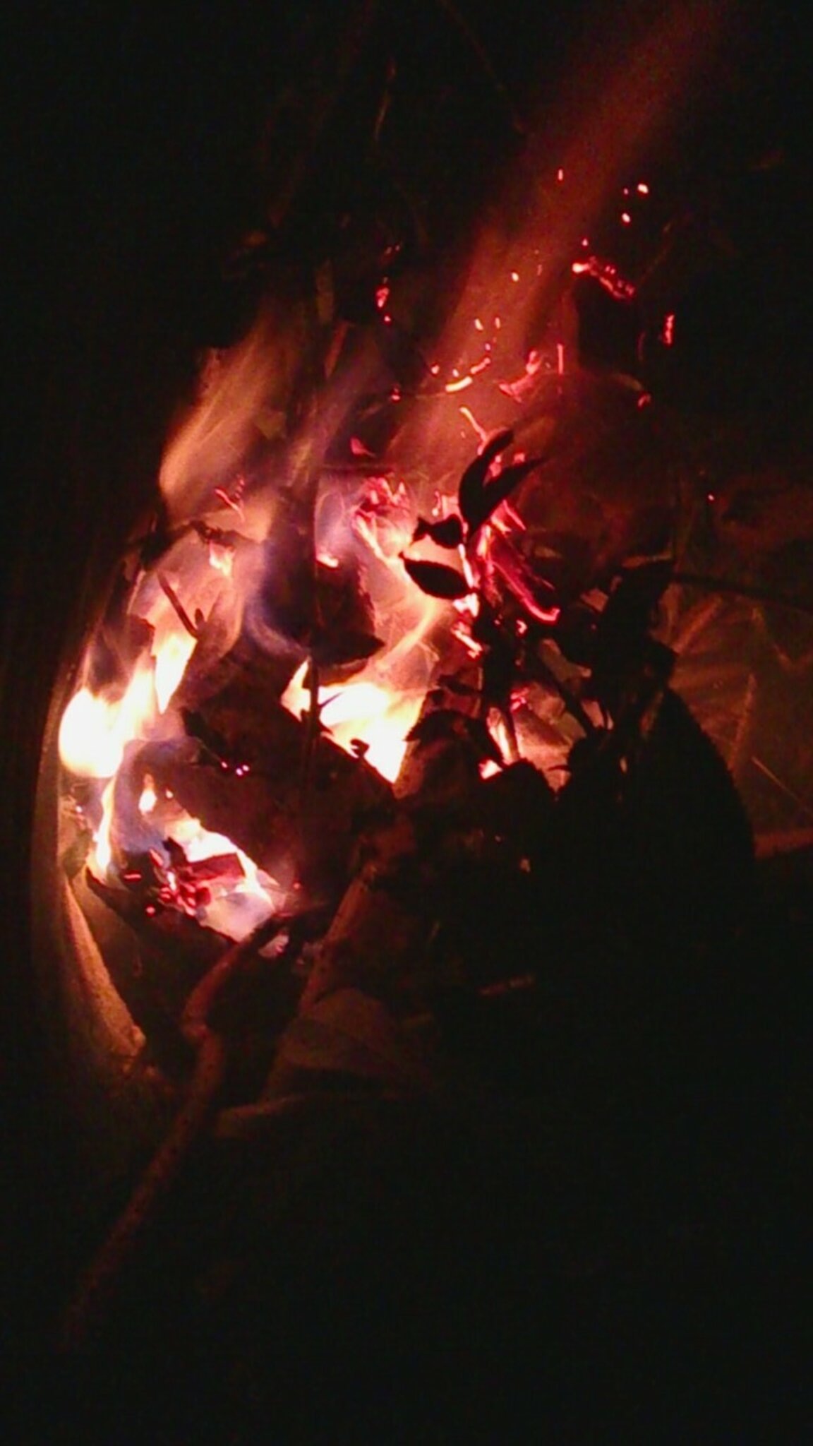 Über die Herrscher: Despoten unserer Zeit - Flachgau