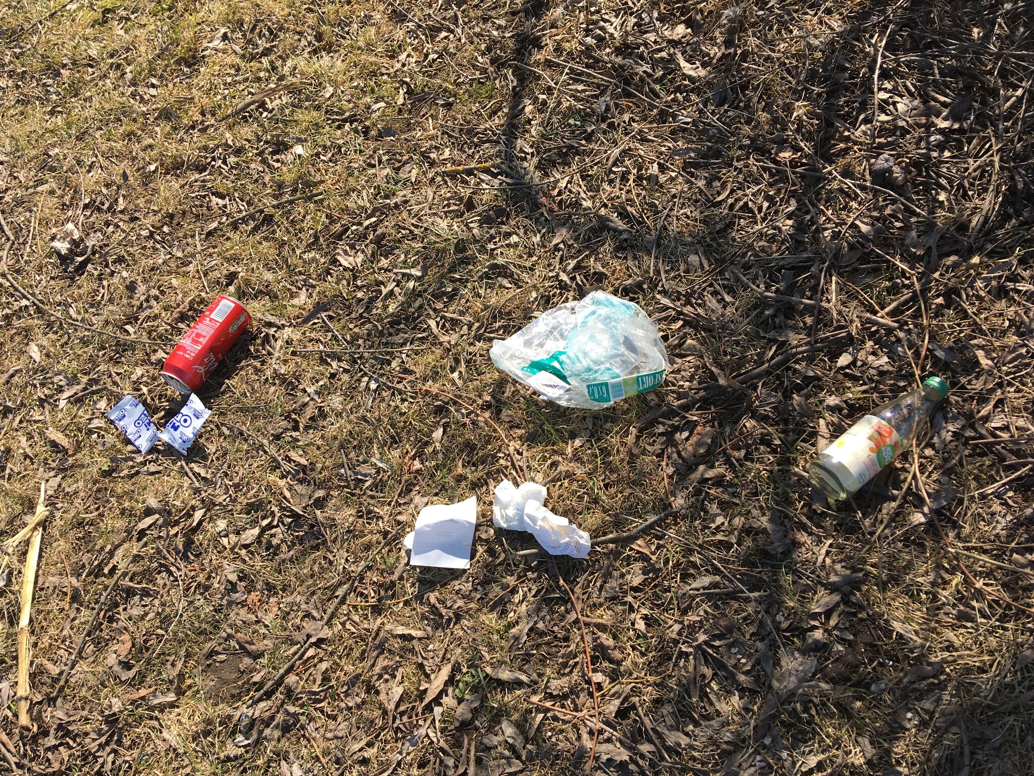 Frühlingserwachen einmal anders: Die Natur als Mistplatz - Klagenfurt