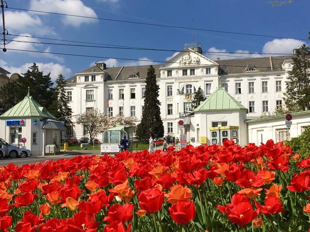 Klinik Hietzing: Thomas Hölzenbein leitet neue Gefäßchirurgie - Hietzing