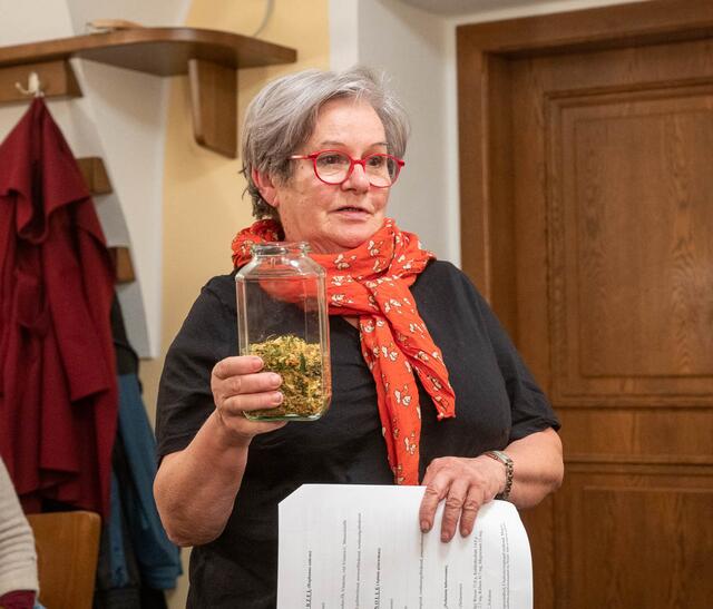 St. Marien: Kräuterwanderung steht am Programm - Linz-Land