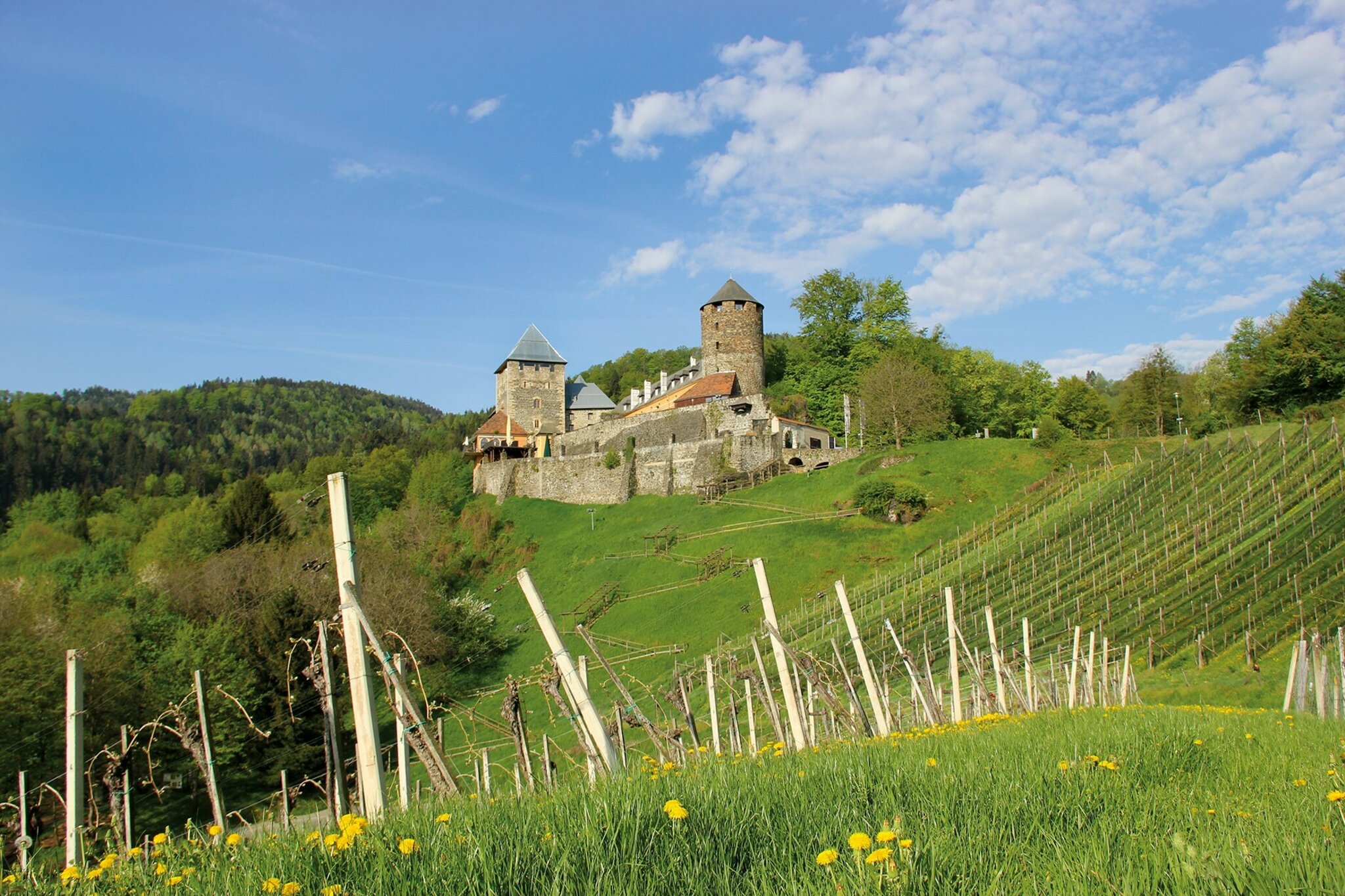 Eine Reise zur Burg Deutschlandsberg - Deutschlandsberg