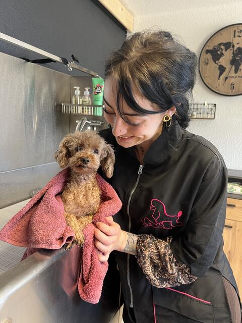 Victoria Winkler: Bei "Paw Styler" bekommen Hunde und sogar Katzen eine ...