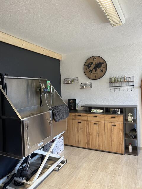 Victoria Winkler: Bei "Paw Styler" bekommen Hunde und sogar Katzen eine ...