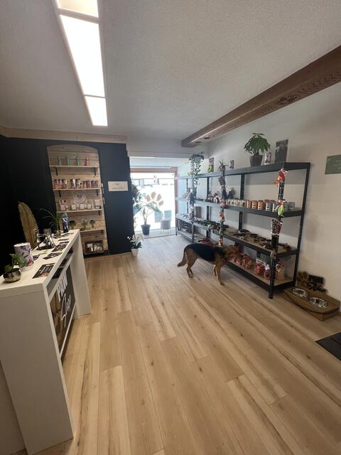 Victoria Winkler: Bei "Paw Styler" bekommen Hunde und sogar Katzen eine ...