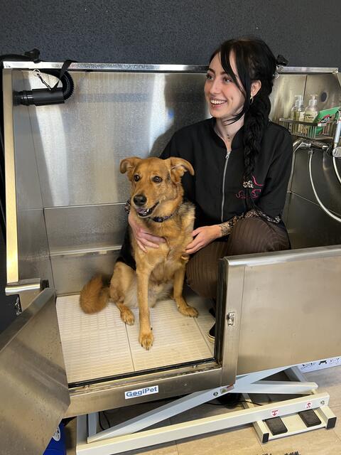 Victoria Winkler: Bei "Paw Styler" bekommen Hunde und sogar Katzen eine ...