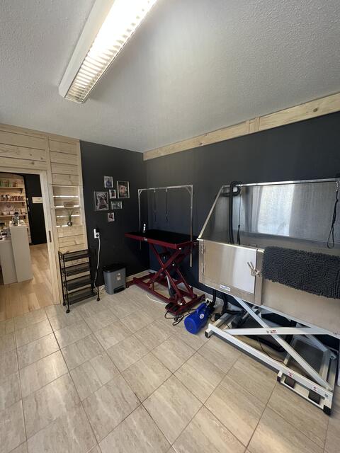 Victoria Winkler: Bei "Paw Styler" bekommen Hunde und sogar Katzen eine ...