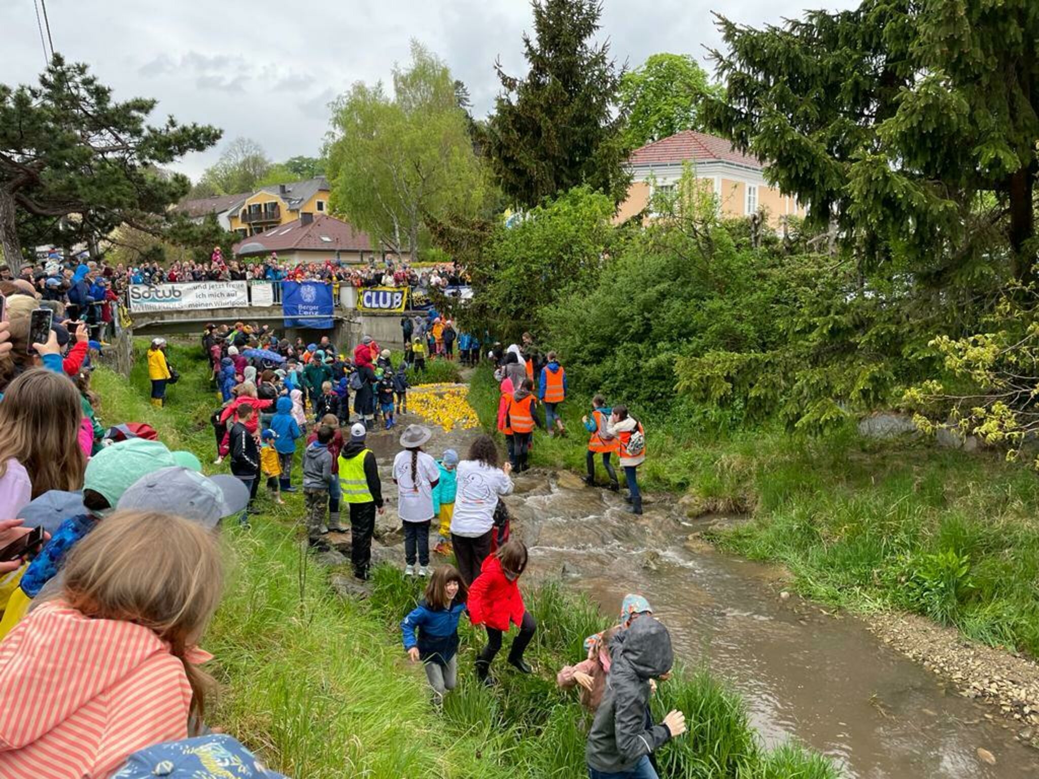 Entenrennen in Weidling - Klosterneuburg