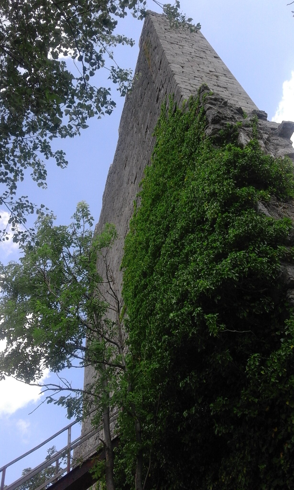 Ausflug auf die Ruine Rauheneck: Ausflug auf die Ruine Rauheneck - Baden