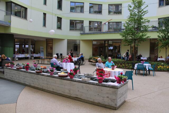 Barmherzige Brüder Kritzendorf: Zwei Events eröffnen den Mai ...