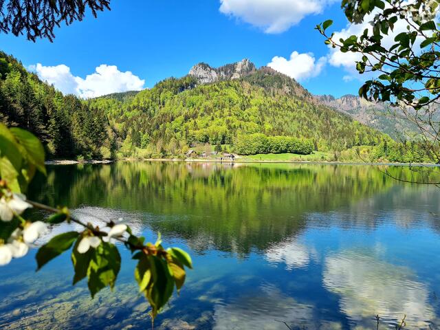 Durchs wunderschöne Österreich 2022/1: Zum Schwarzensee - Salzkammergut