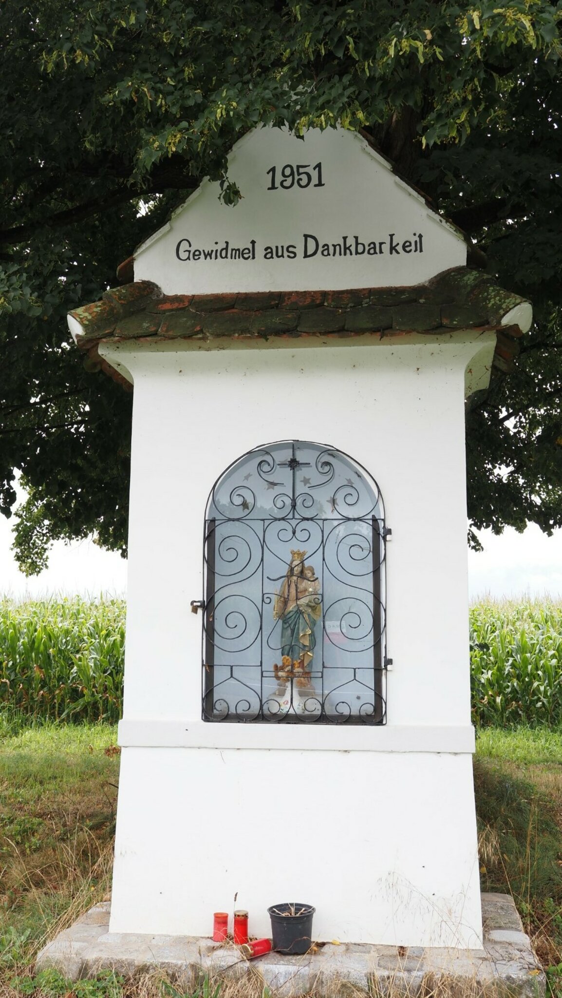 Foto gesucht: Das Geheimnis rund um Lehrerin Camilla Schmidt - Leibnitz