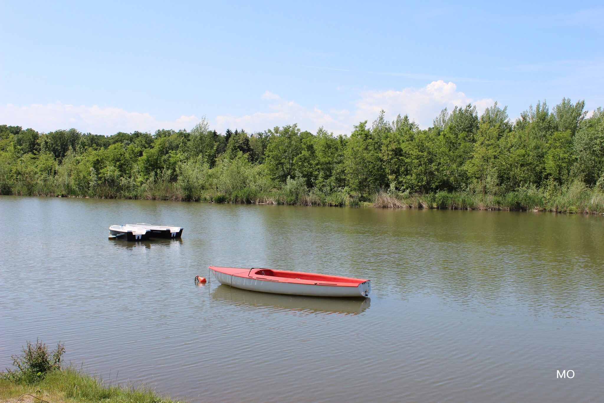Auwiesen Graz-Liebenau: Es wird wieder gegrillt und das ...