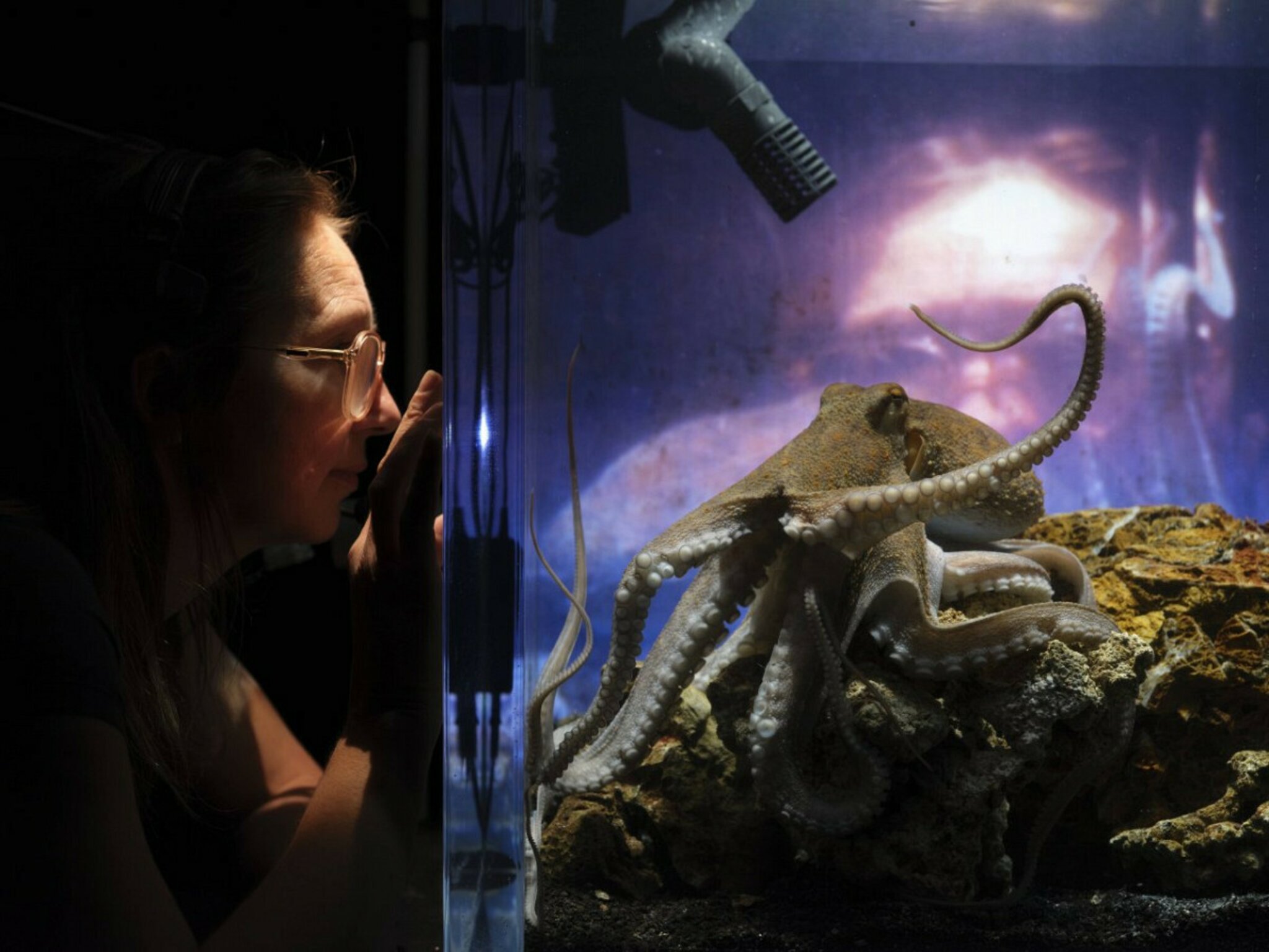 Stefan Kaegi (Rimini Protokoll): Temple du présent – Solo pour octopus ...