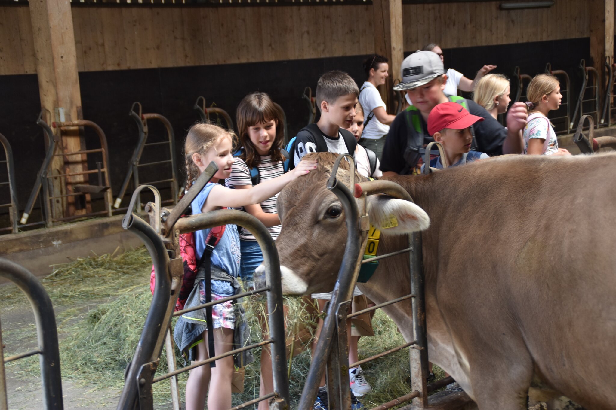 Regionsschultag in der LLA Rotholz - Schwaz