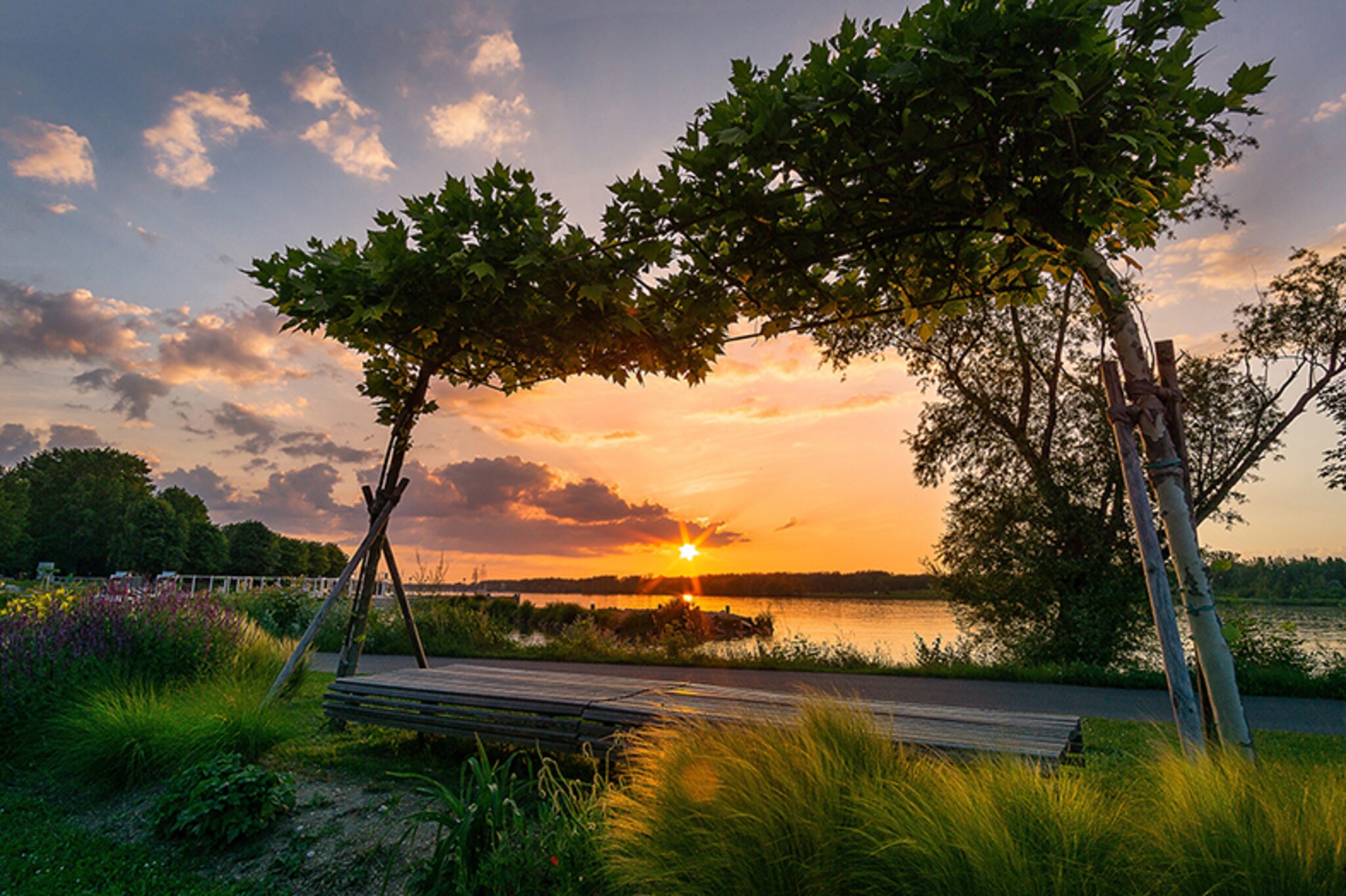 Fotowettbewerb: Mein Tullnerfeld – freiwillig vielfältig engagiert - Tulln