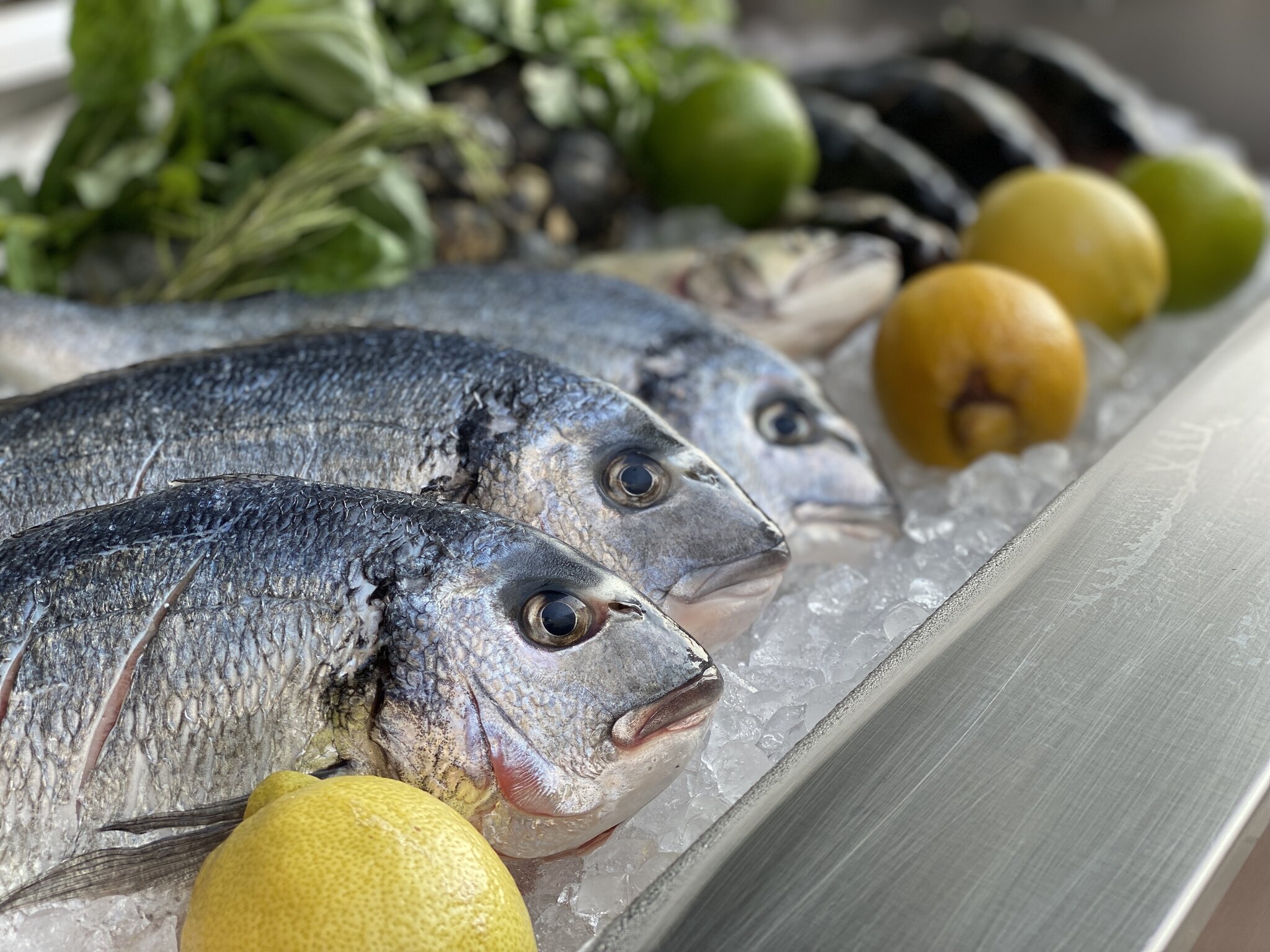 Milo im Hotel Seven: Coole Drinks und heiße Beats im Milo! - Villach