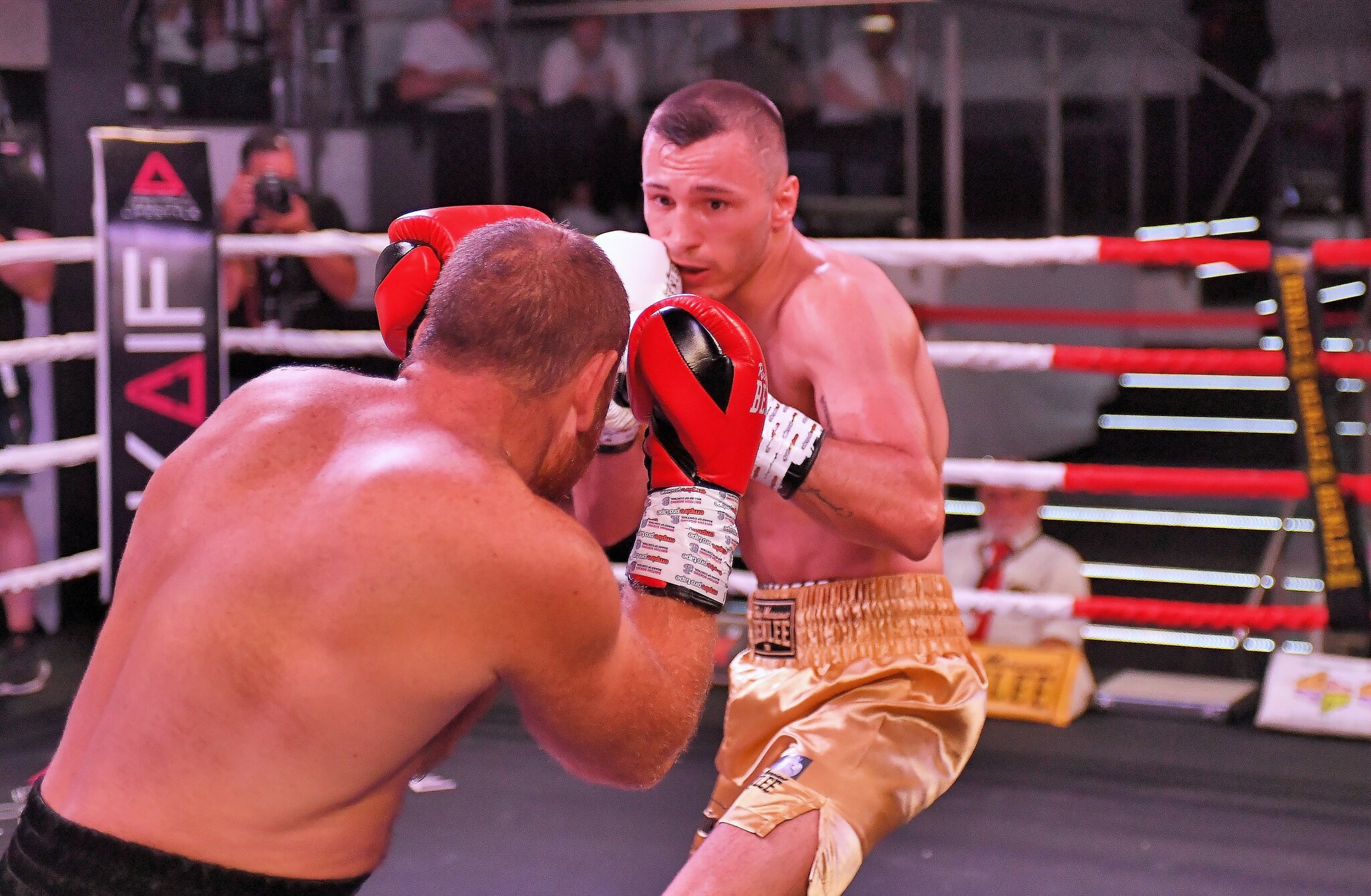 Boxsport Tirol: Edin Avdic gewinnt auch seinen dritten Profikampf ...