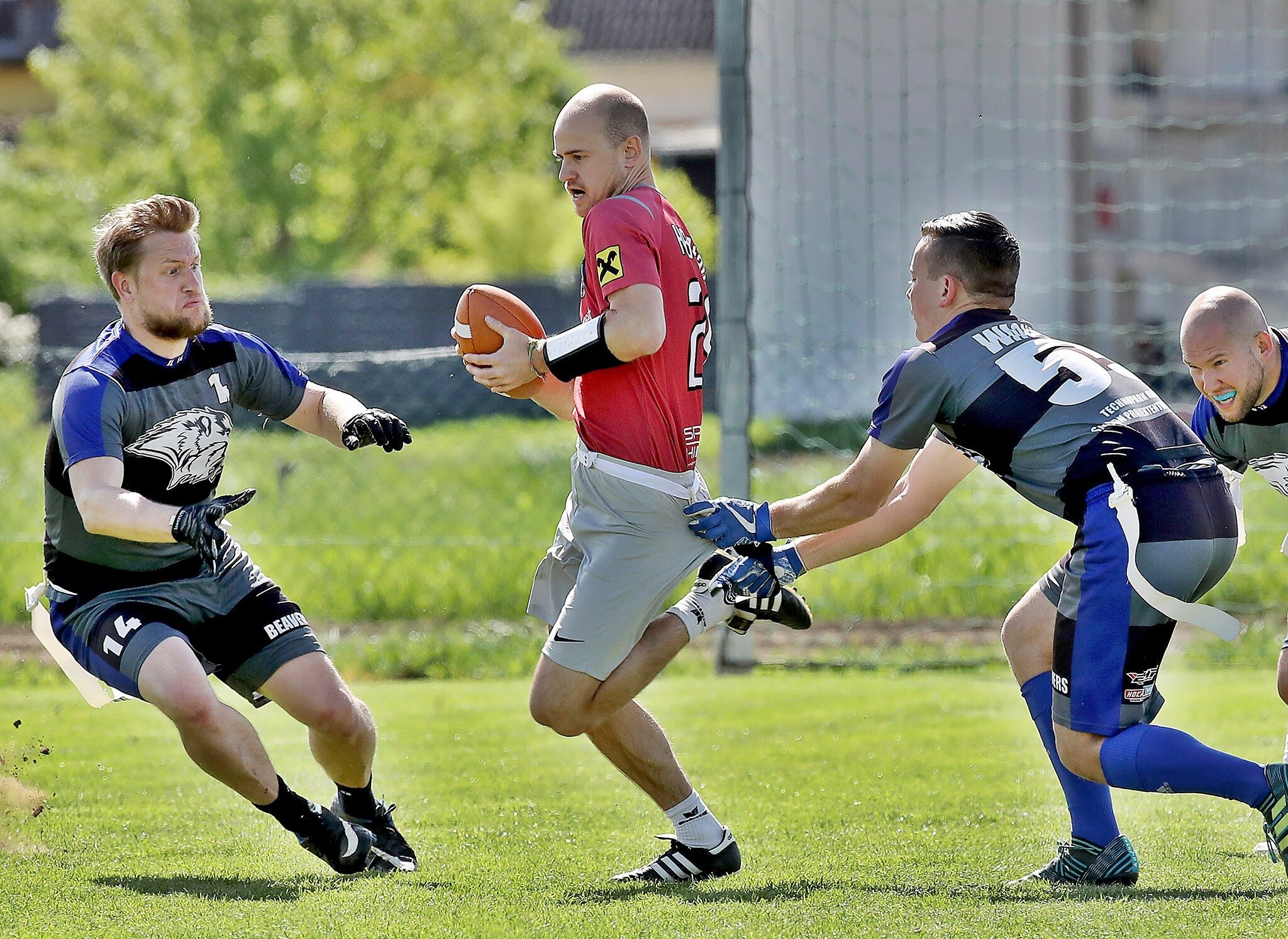 Flag Football: Die "Stags" aus Hirschbach sind auf der Suche nach ...