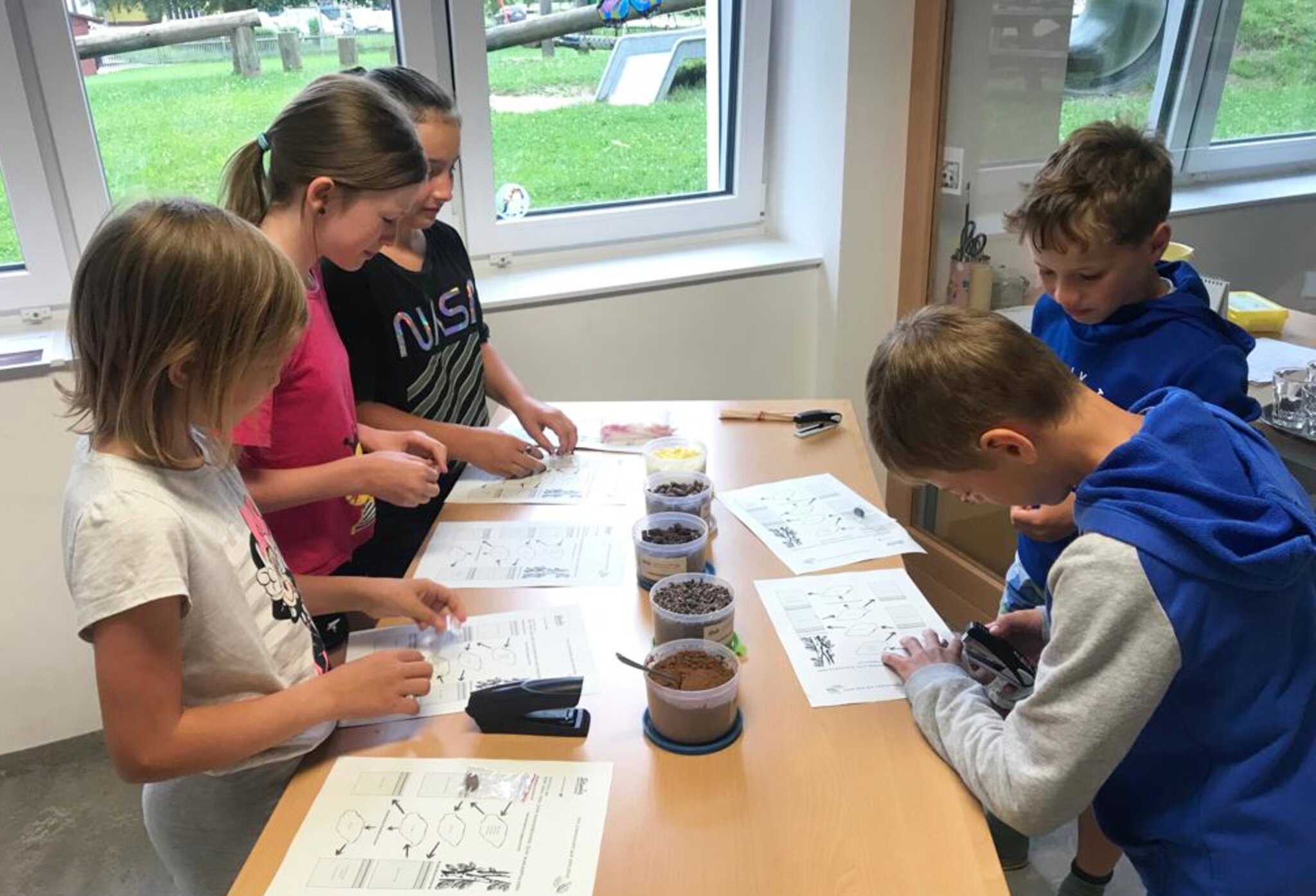 Umweltressort Land OÖ: Vielfältige Workshopreihe speziell für Schulen ...