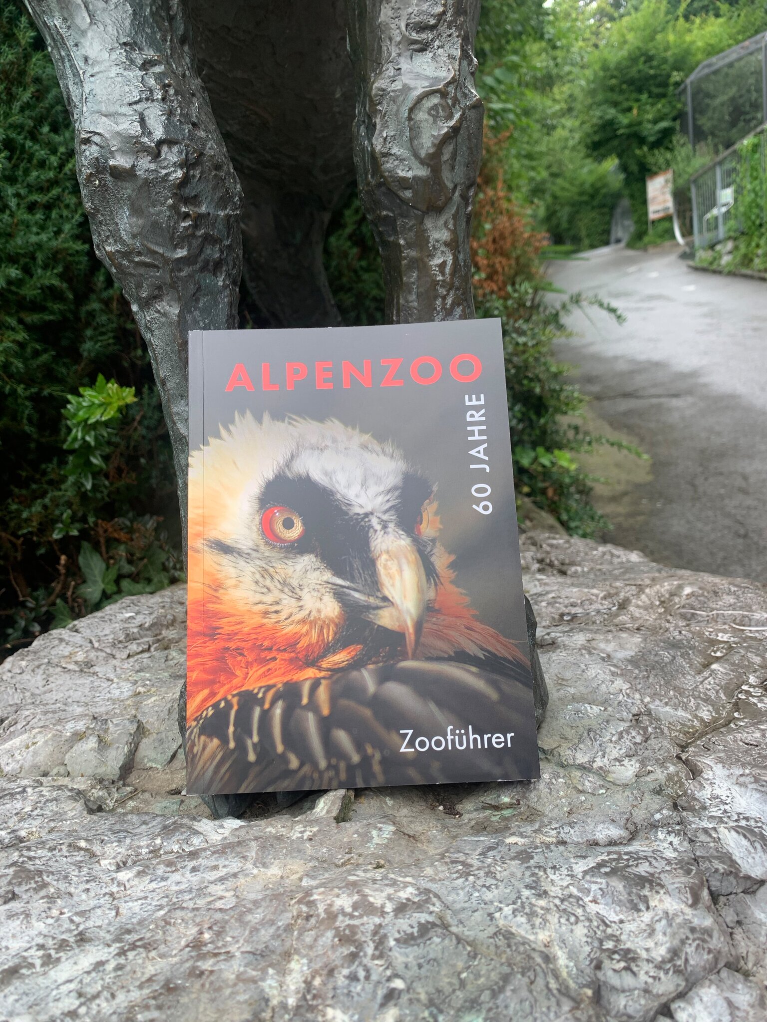 Alpenzoo feiert 60er: Abendführungen und neuer Zoo-Führer - Telfs