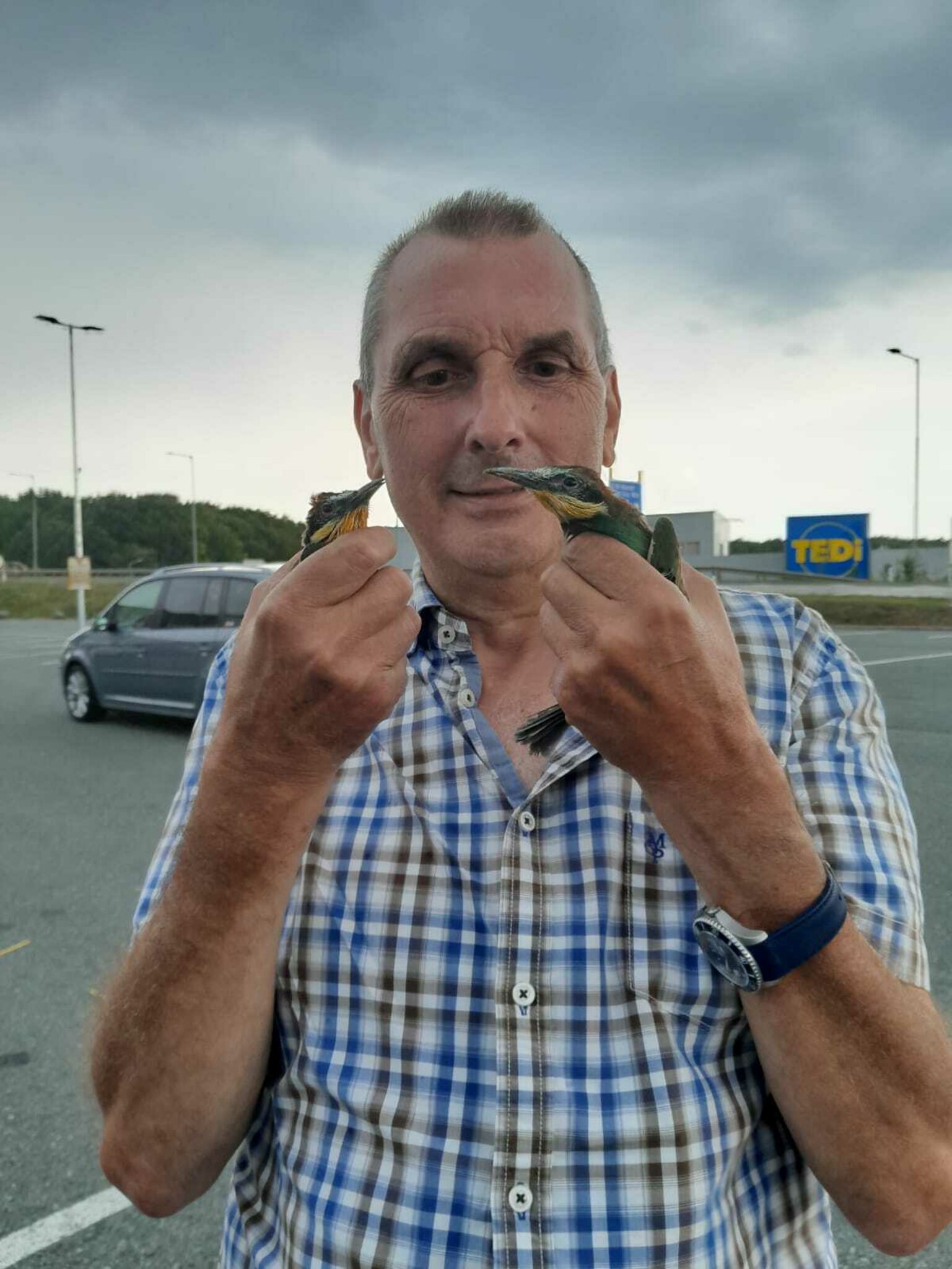 Aus Liebe zur Natur: Vier junge Bienenfresser in Rechnitz gerettet ...