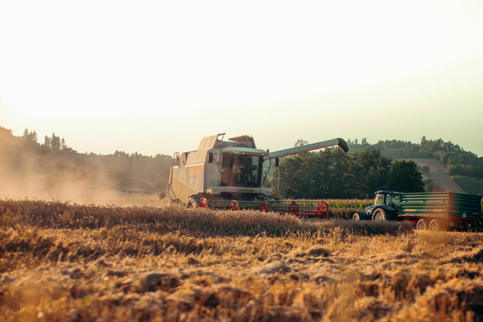 Landwirtschaft: Bisher gute Ernte in Grieskirchen und Eferding ...