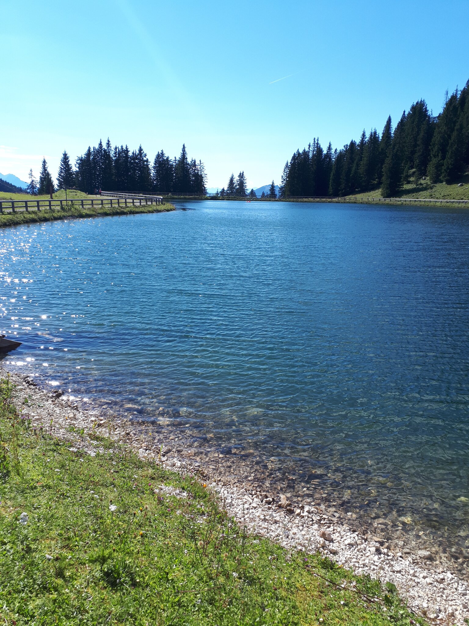 Lieblingsplatzerl in der Natur: Waidhofen/Ybbstals Lieblingsort ist der ...