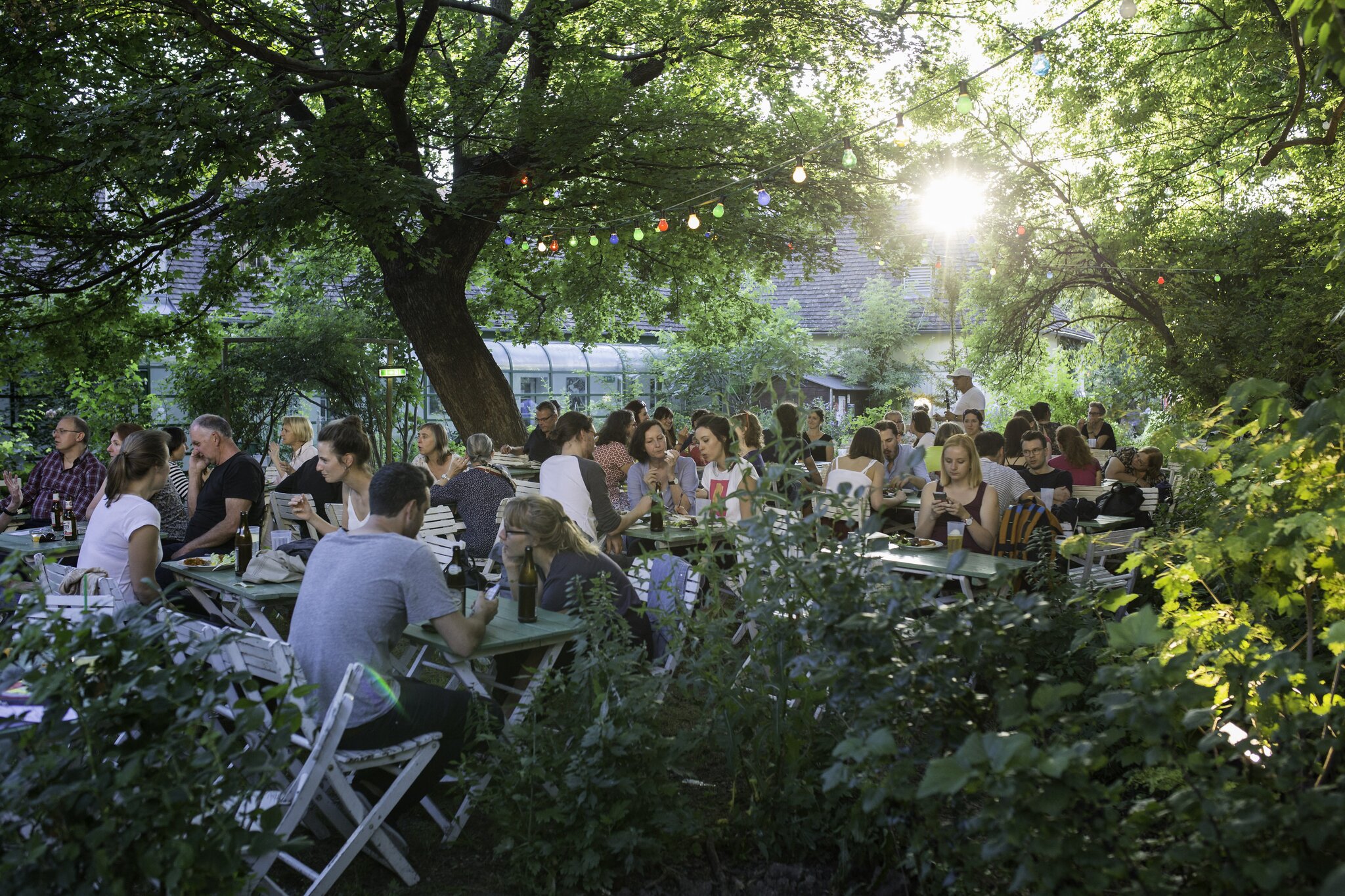 "Kino wie noch nie": Grünstern Gartenküche tischt im Wiener Augarten ...