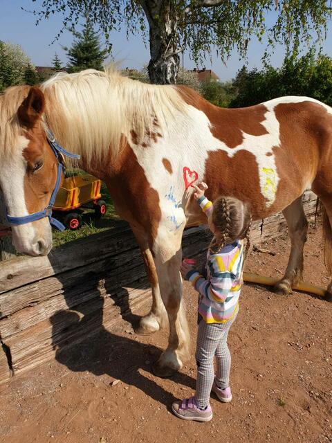 Spielerische Reitpädagogik: Kinder mit Pferden 'stark' machen - Melk
