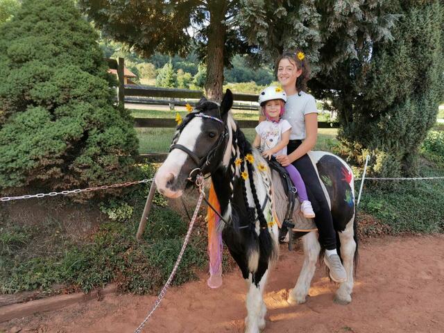 Spielerische Reitpädagogik: Kinder mit Pferden 'stark' machen - Melk