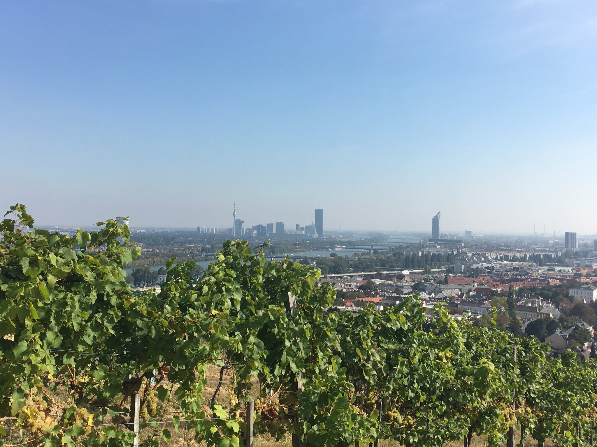 Ausflugstipps in der Natur: Das sind die "Lieblingsorte in der Natur ...