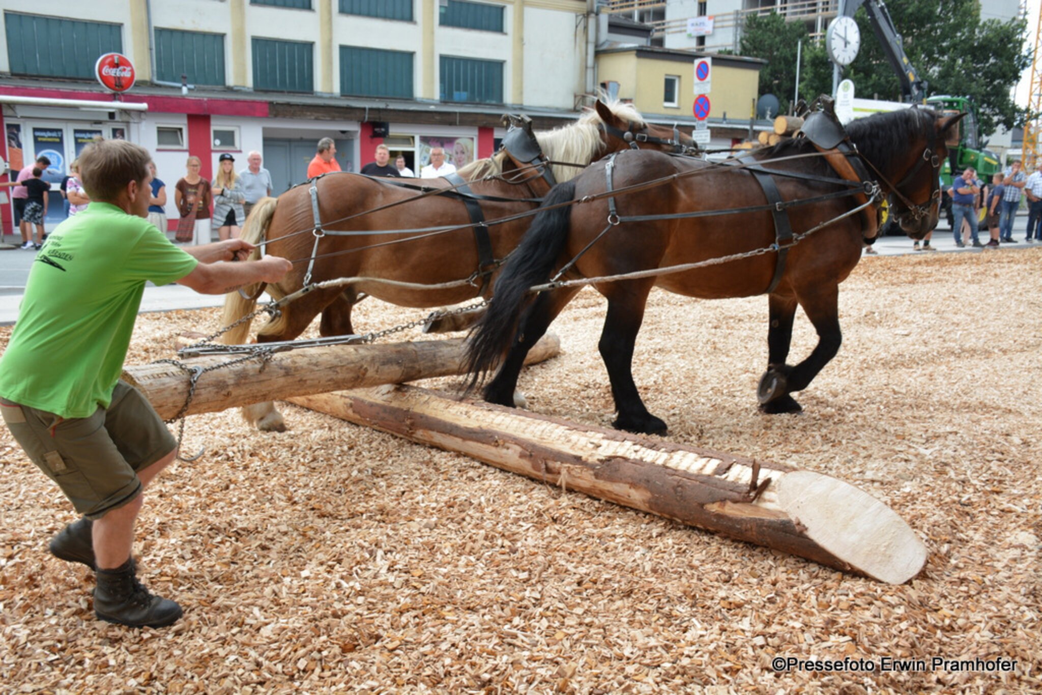 Mühlviertler Wiesn: Holzrücken mit Pferden und Schuhplattler - Freistadt