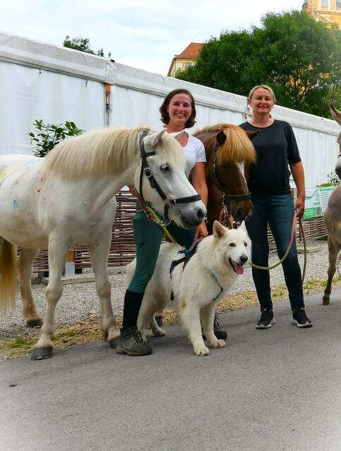 Spielerische Reitpädagogik: Kinder mit Pferden 'stark' machen - Melk