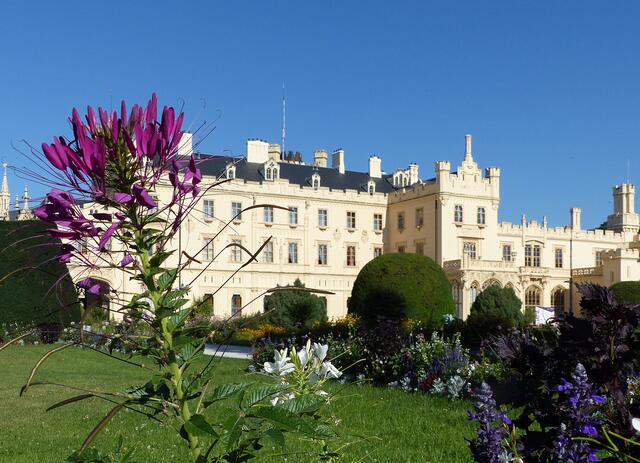 Schloss Lednice - Ottakring