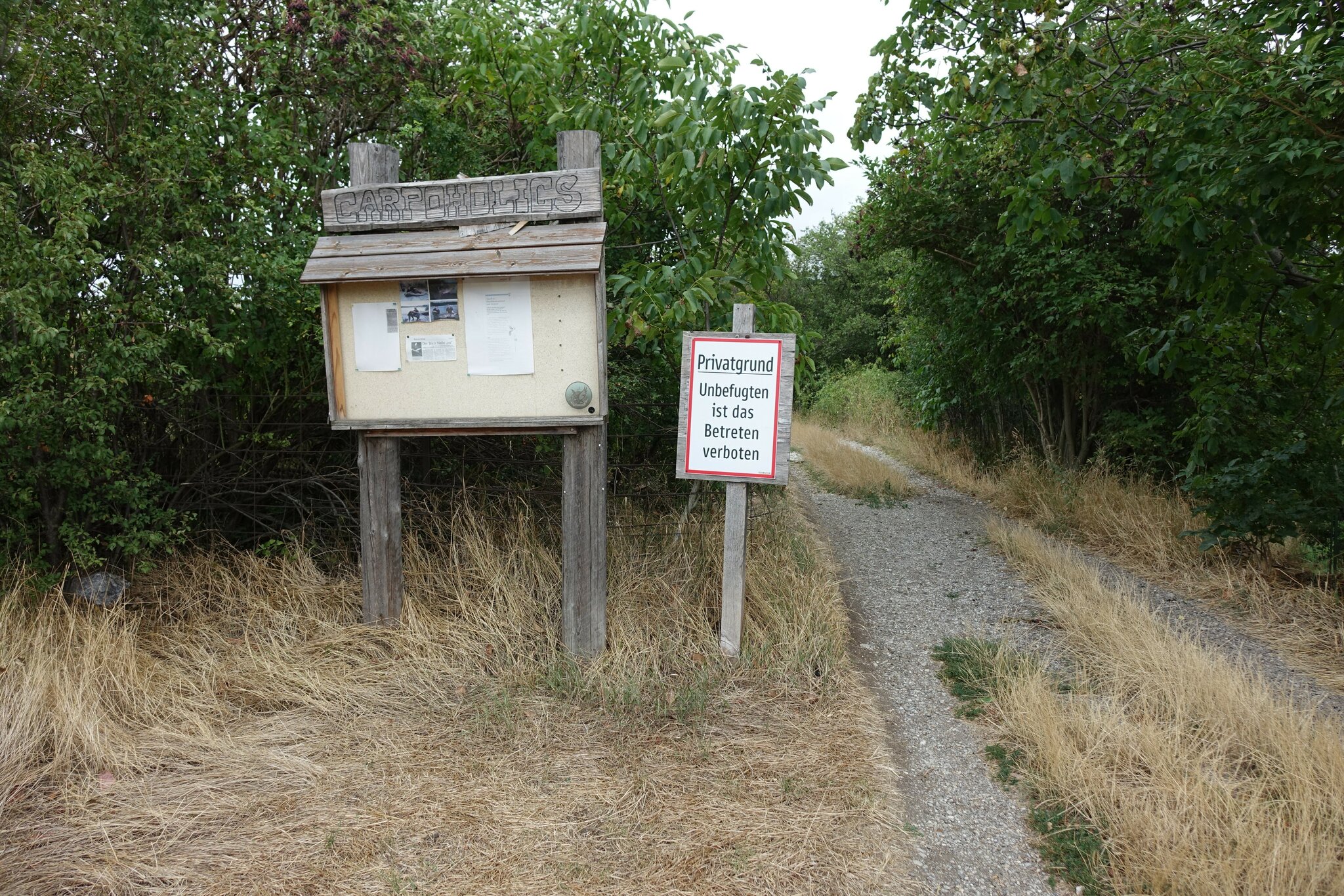 Brunn am Gebirge: Weiter bangen um die Brunner Heide - Mödling