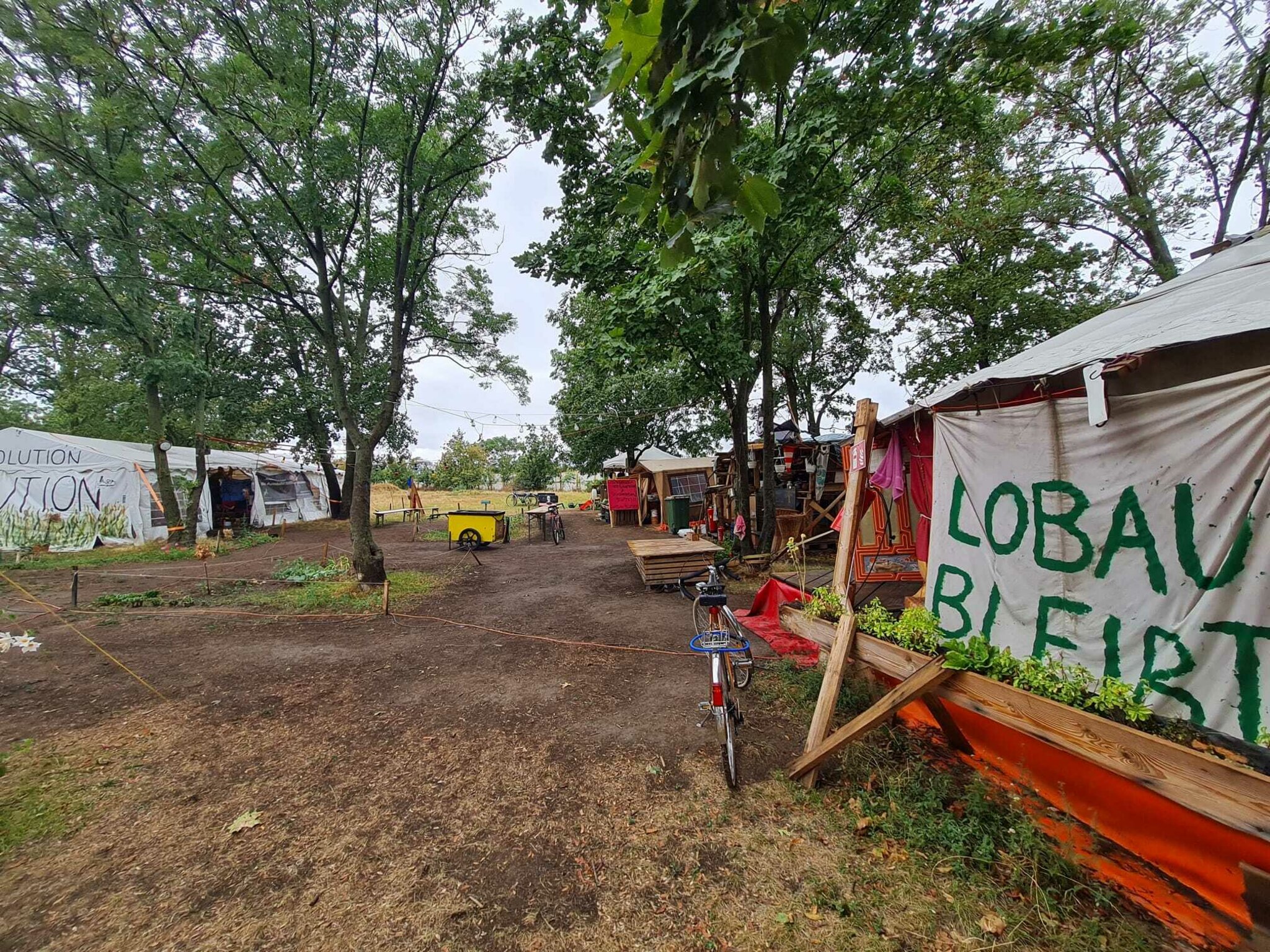 Klimaaktivisten: Polizei wollte Lobau-Camp in der Donaustadt räumen ...