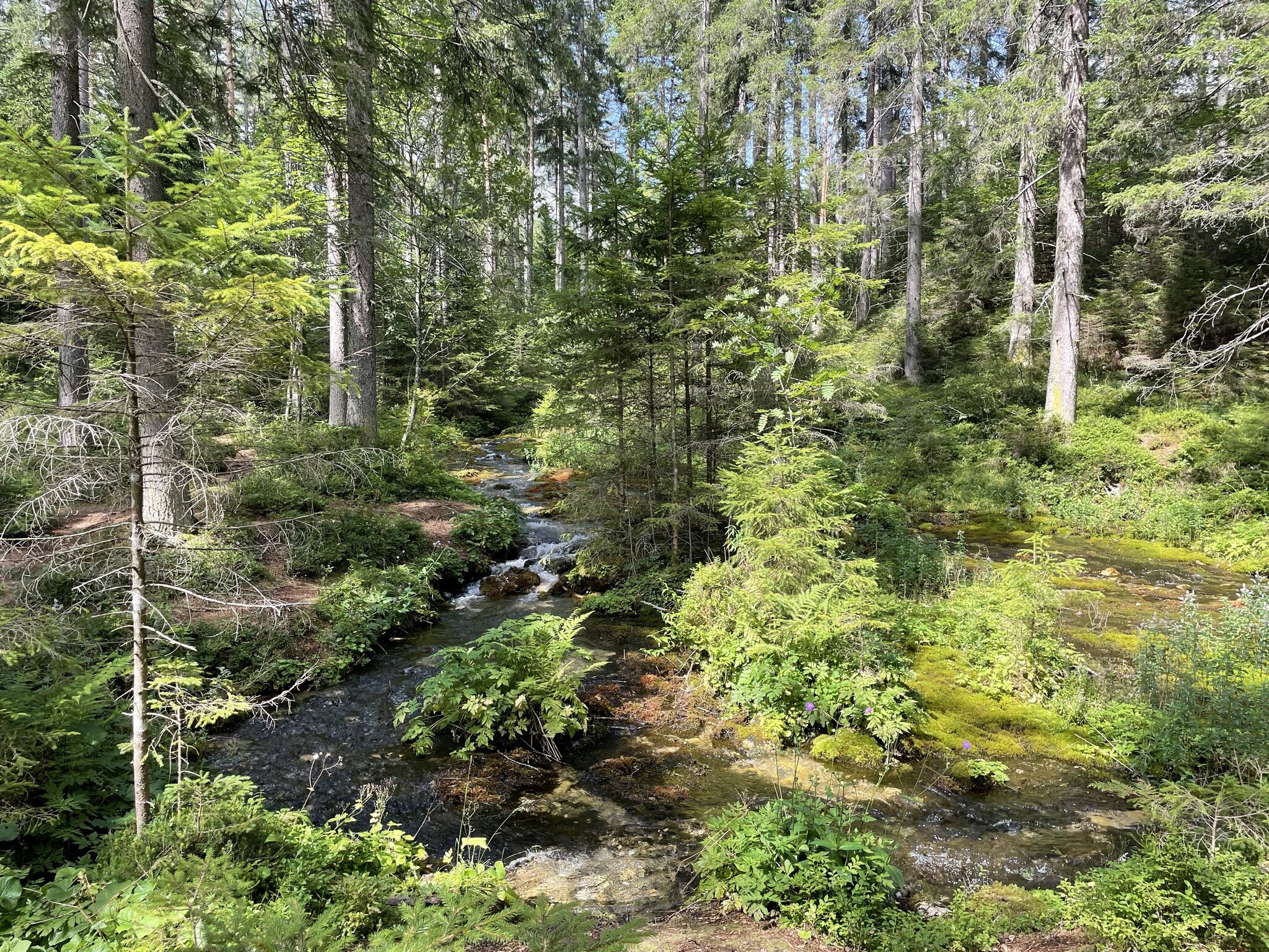 Quellwasser nutzen: Nutzung der Wasserquellen in Hollabrunn - Hollabrunn