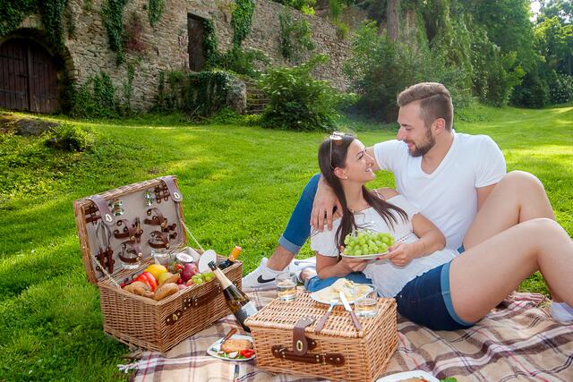 Picknick in Eggenburg: Picknick an der Stadtmauer oder im Weingarten - Horn