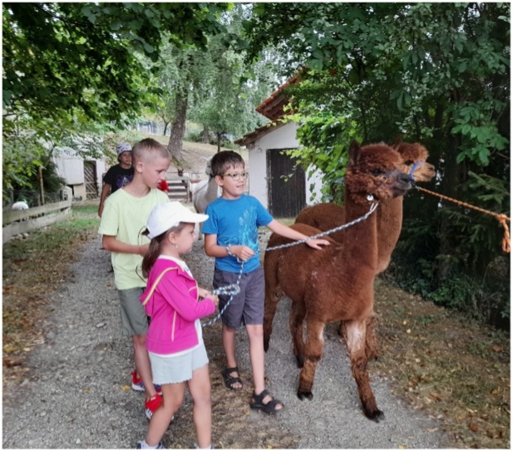 Krankenhaus der Barmherzigen Schwestern Ried: Spiel, Spaß und Action ...