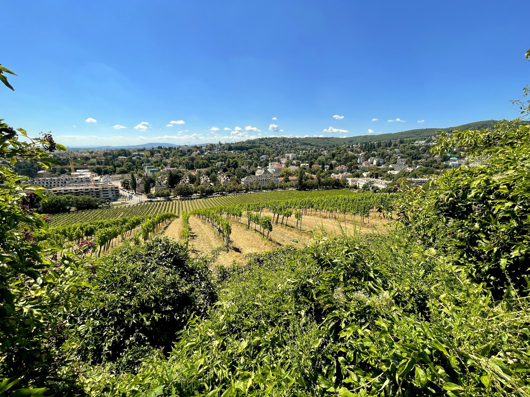 Dornbach & Neuwaldegg: Jetzt zum "Walking Grätzel Garagenflohmarkt ...