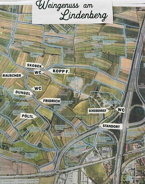 Genuss pur: Weingenuss am Lindenberg - Triestingtal